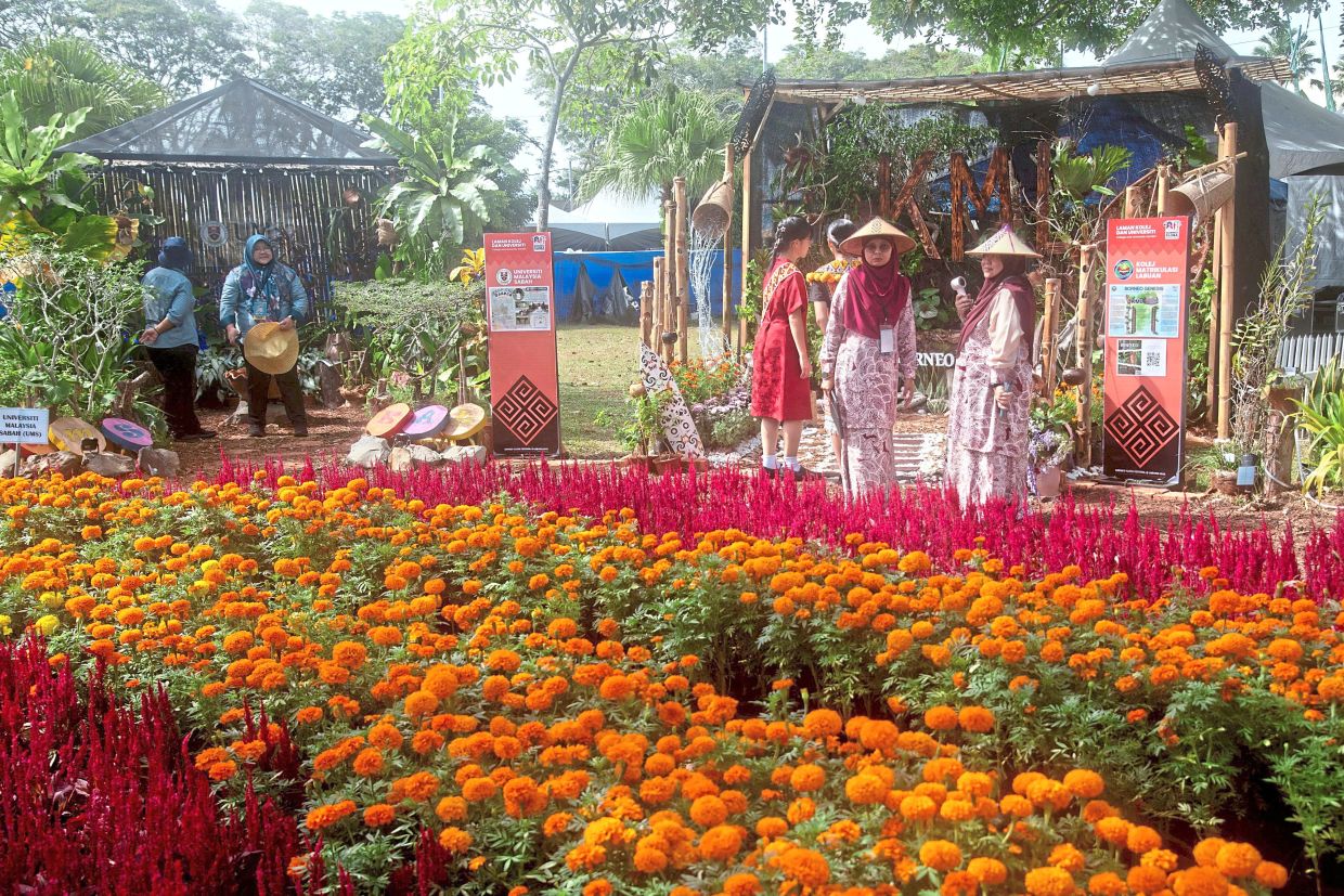 Labuan in full bloom | The Star