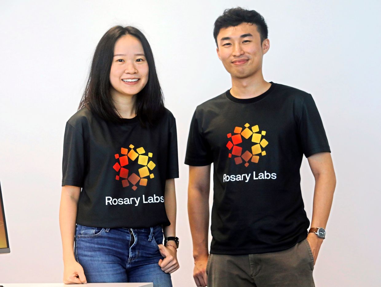 Brainy AI that crunches complex data | The Star