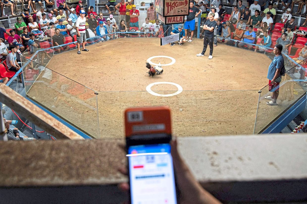 E-sabong still rules the roost | The Star