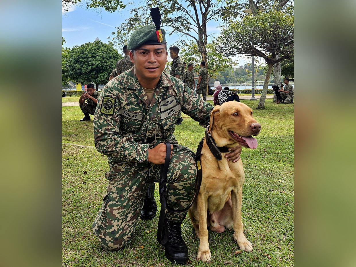 National Day parade: Serigala Pulada K9 unit set to dazzle with 25 army ...