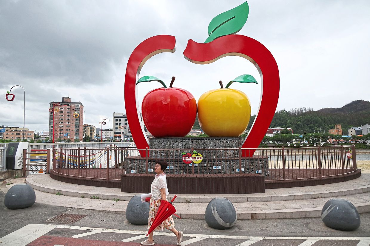 Apple of discord | The Star