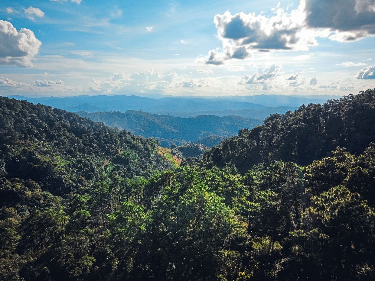 Preserved forests under threat | The Star