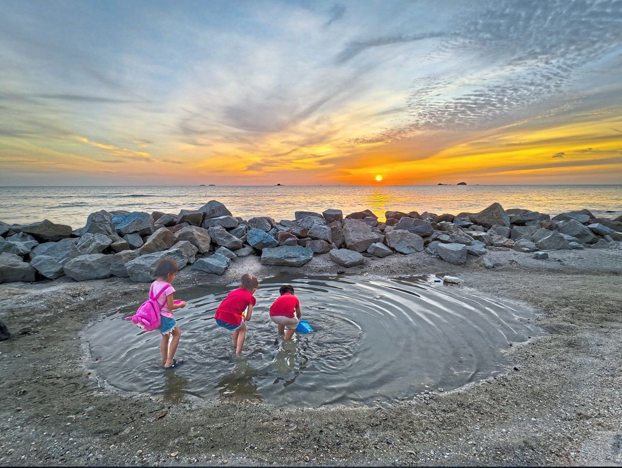 How to use your mobile phone to capture brilliant images and 'do magic ...