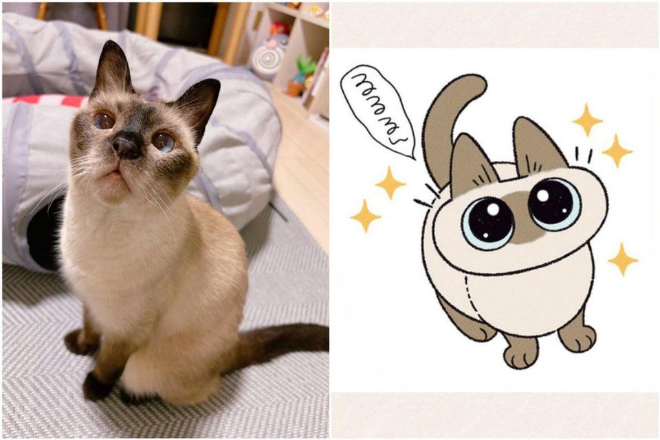Feline that inspired cartoon cat Azuki-San dies | The Star