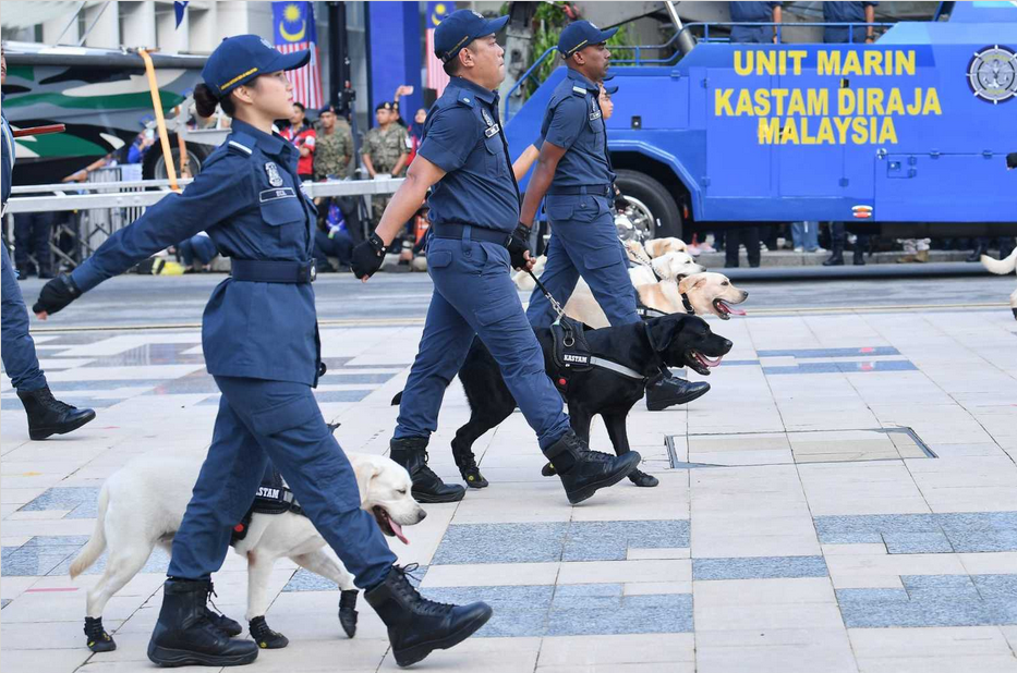 Customs K9 unit helps seize drugs worth RM30.2mil in Kelantan | The Star