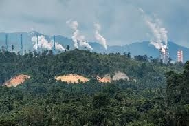 Nickel gains after Indonesia seizes part of giant Tsingshan mine | The Star