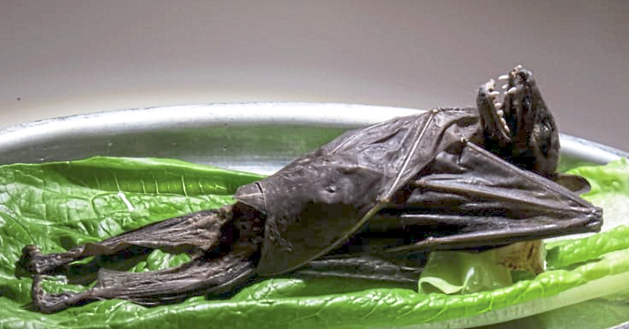 These museums around the world feature unusual yet fascinating exhibits ...