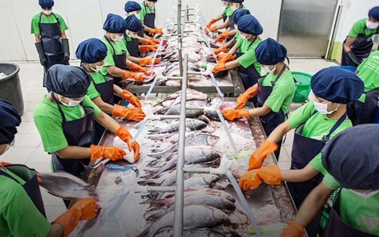 Myanmar exports over 154,000 tons of fishery products in April-August ...