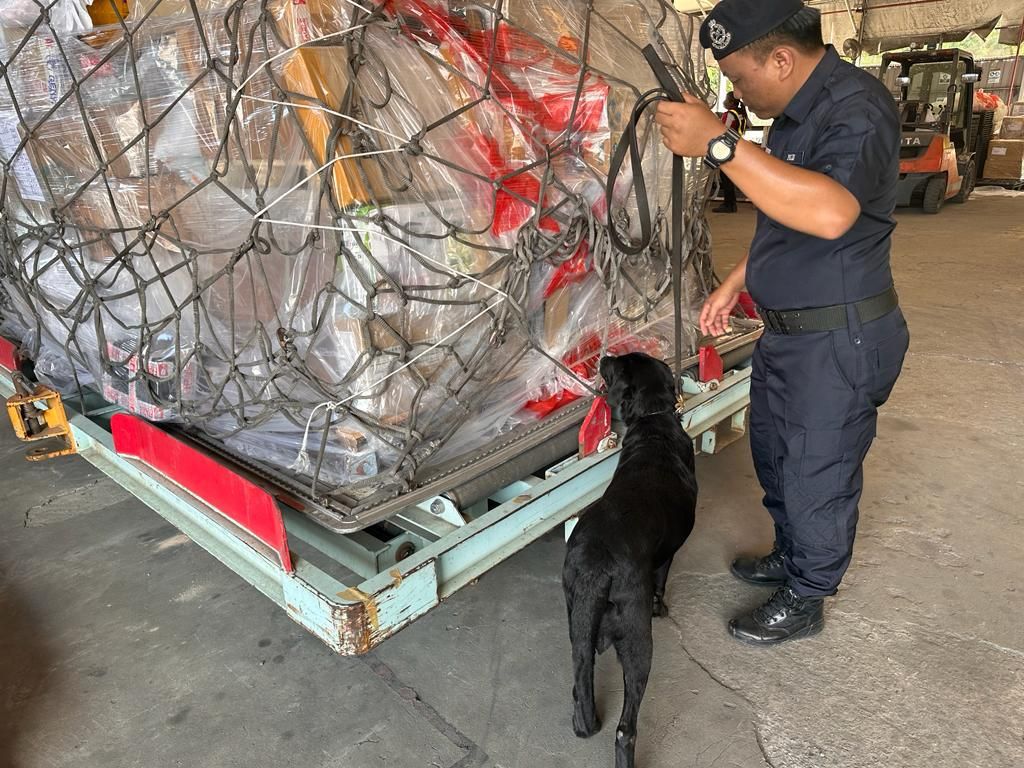 Duyun, Sabah’s lone drug sniffer dog finally gets a partner | The Star