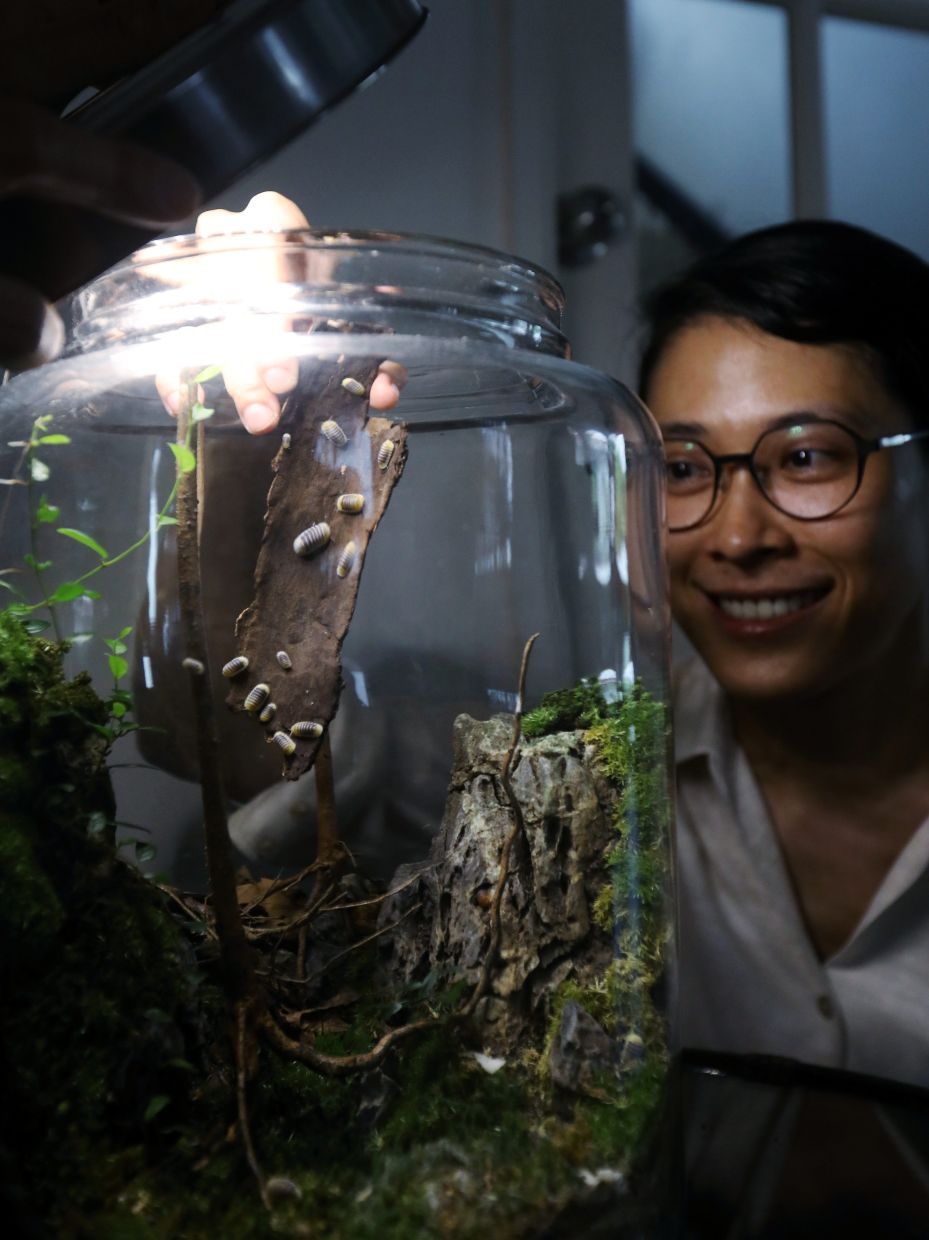 Meet the Malaysian hobbyist nicknamed the "Bug Lady" at work | The Star