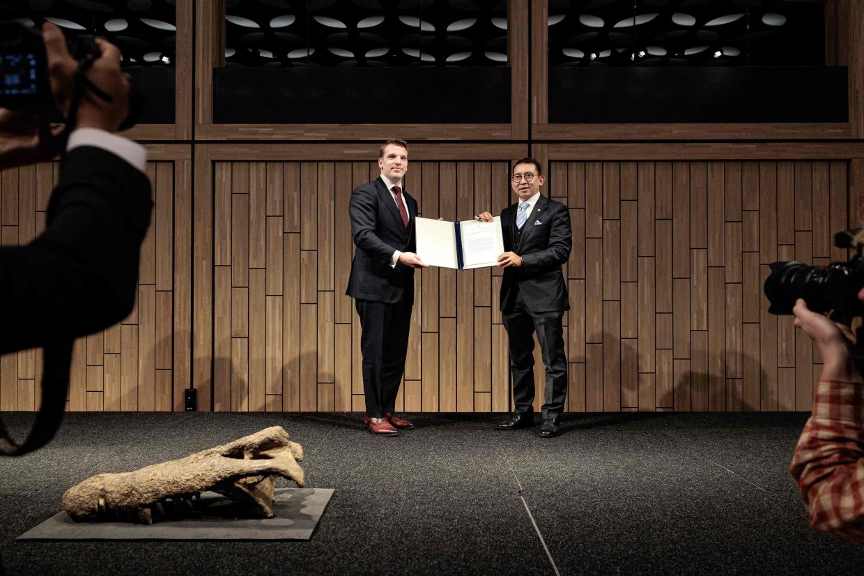 Dutch to return 'Java Man' fossils to Indonesia | The Star