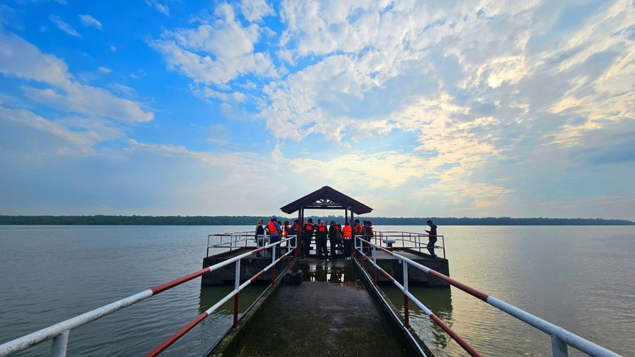 Carey Island takes the spotlight | The Star