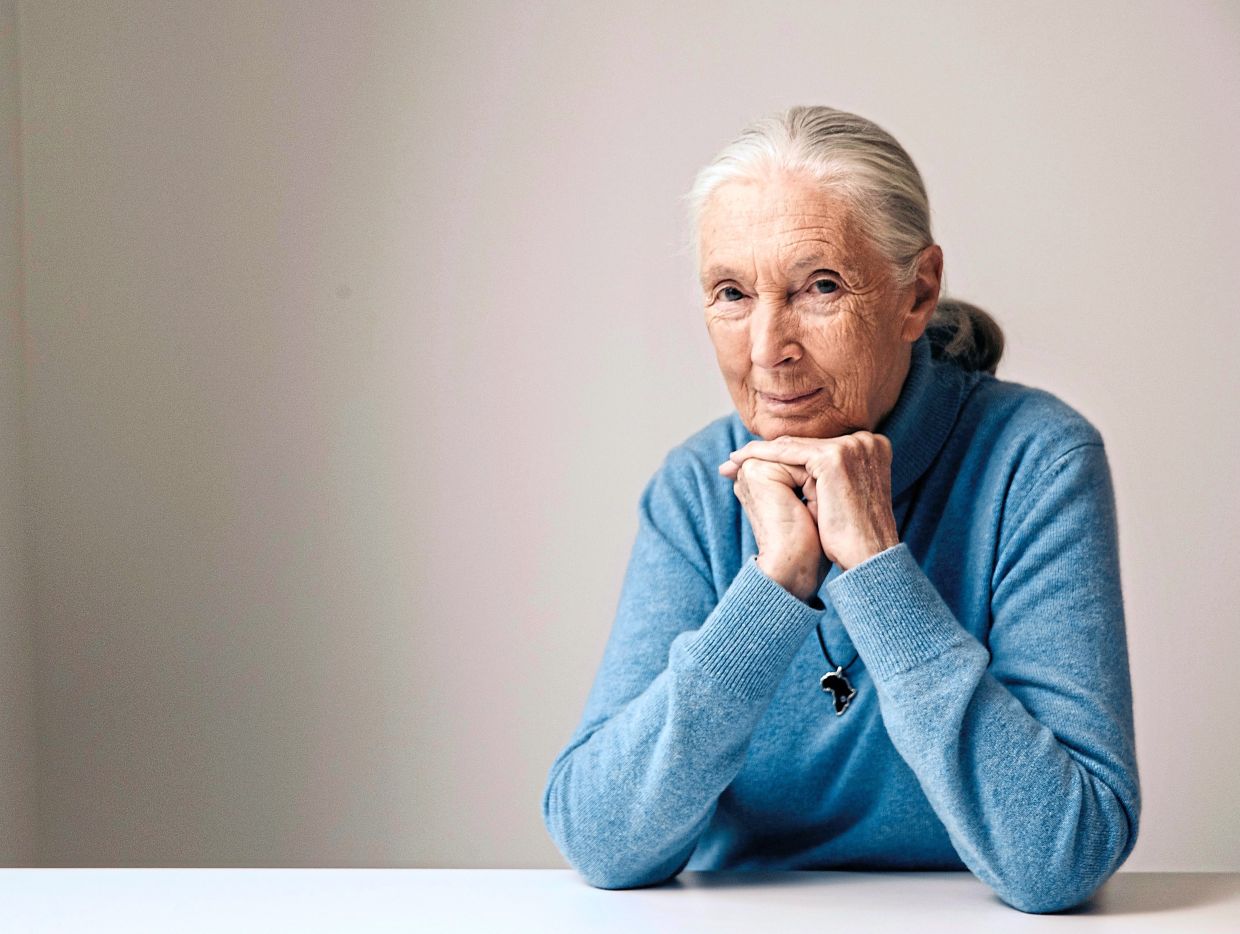 'Hope isn’t just wishful thinking’: Jane Goodall’s thoughts for a ...