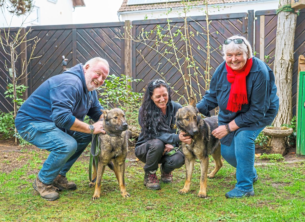 Specially trained sniffer dogs could help put an end to illegal ...