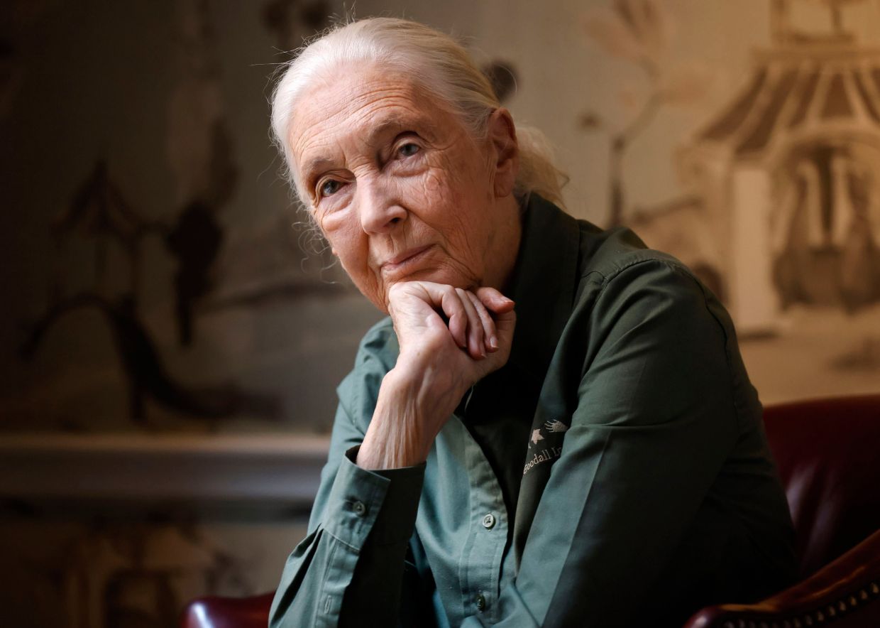 Jane Goodall’s final interview featured on new series ‘Famous Last ...