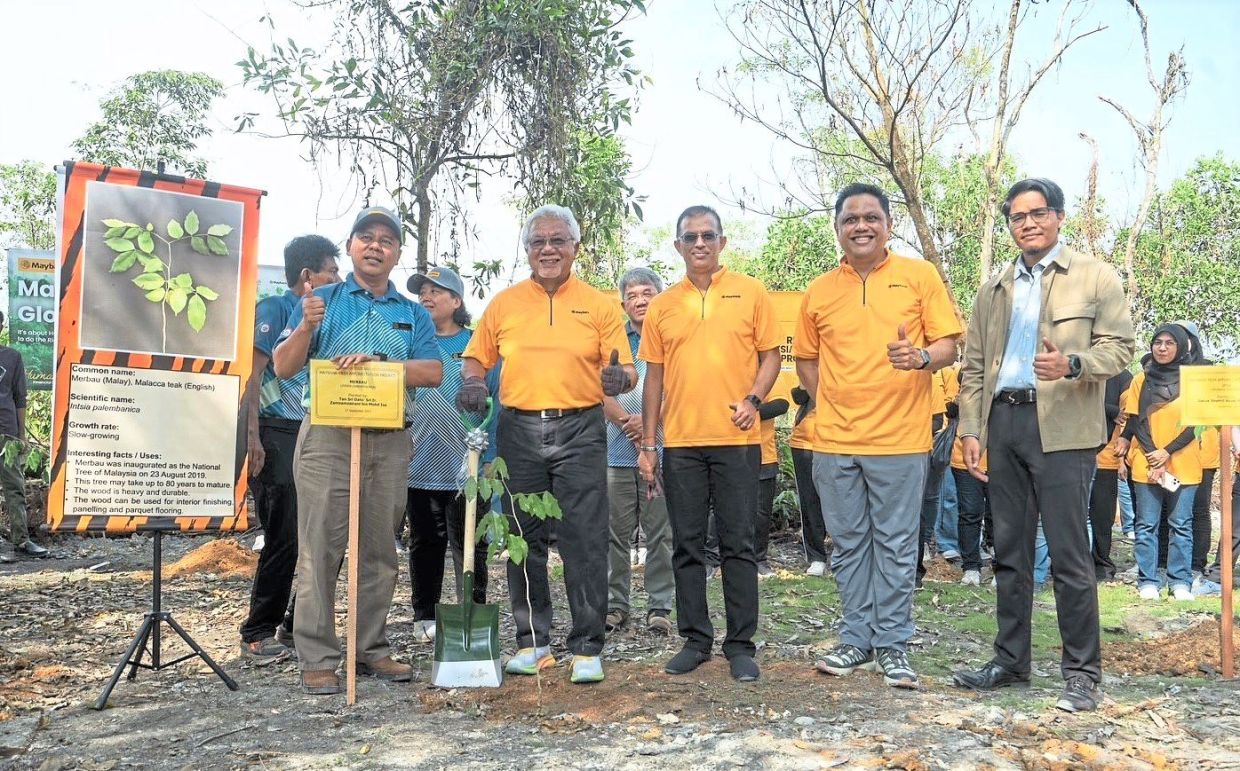 Bank launches parallel CSR events across the world | The Star