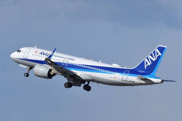 ANA plane that hit runway lights at Tokyo’s Haneda may have missed ...