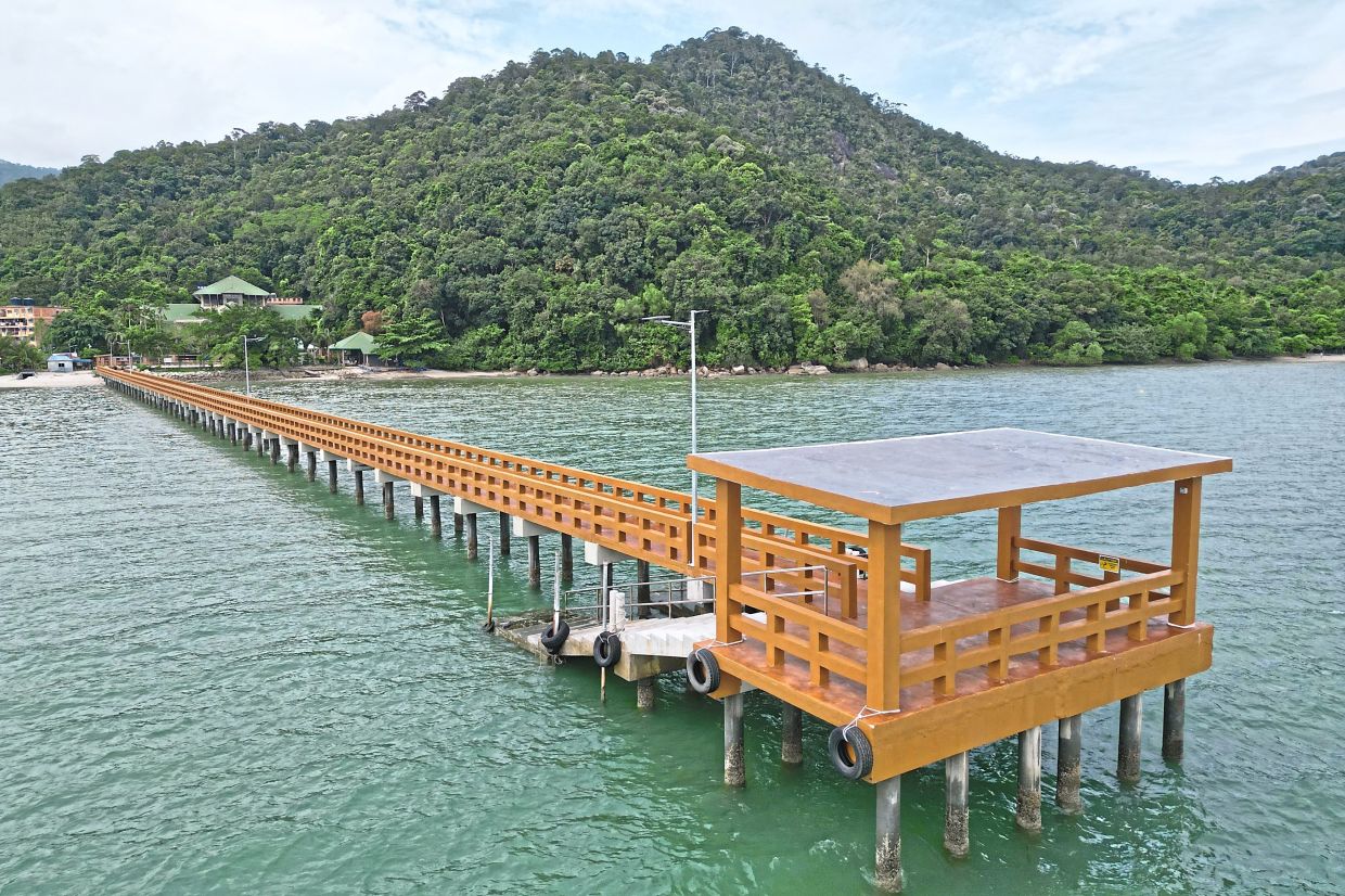 Long-awaited new jetty lifts Teluk Bahang eco-tourism | The Star