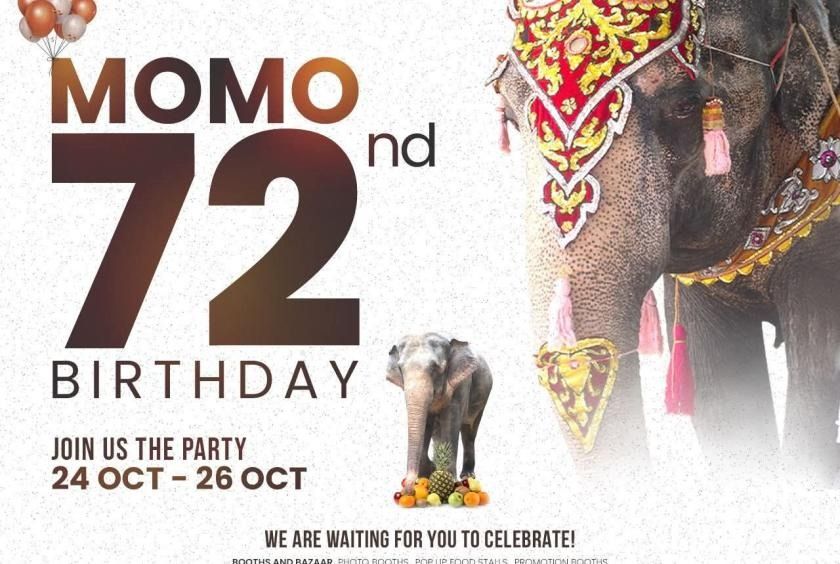 Yangon Zoo celebrates Momo the elephant's 72nd birthday | The Star