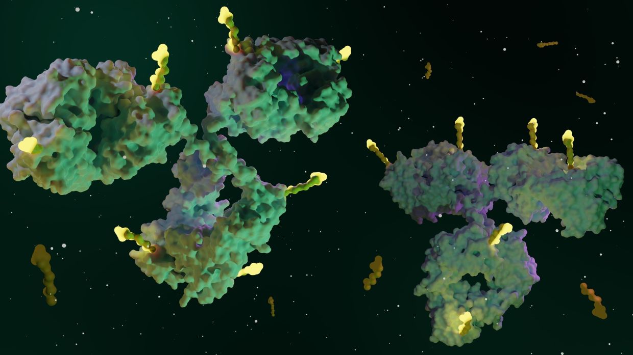 China biotech forum bills antibody cancer drugs as next-generation ...