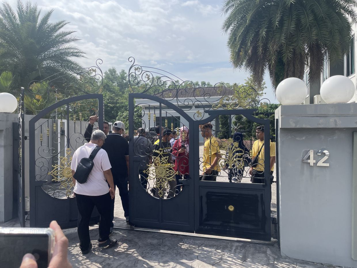 Datuk Vida’s assets auctioned for RM1mil to settle debt | The Star