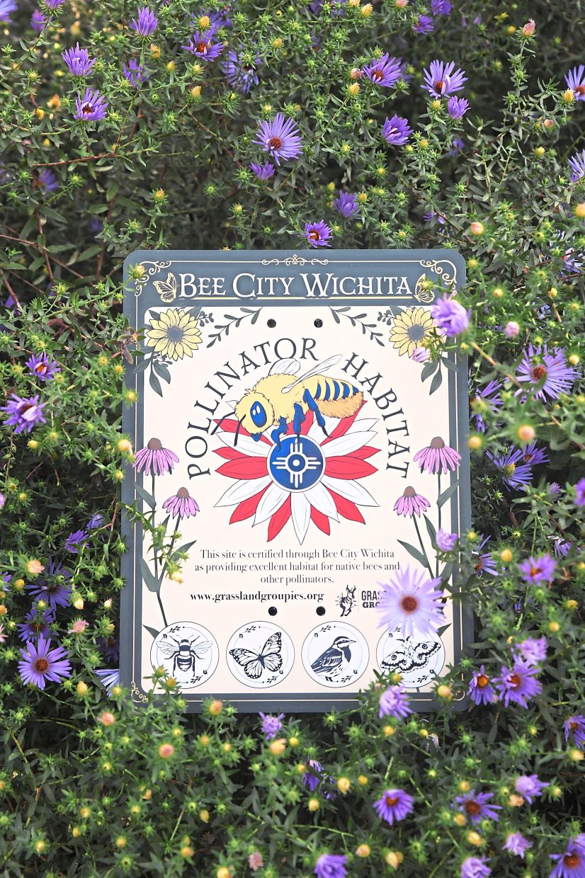 Bee happy: Residents come together to save bees in Kansas | The Star