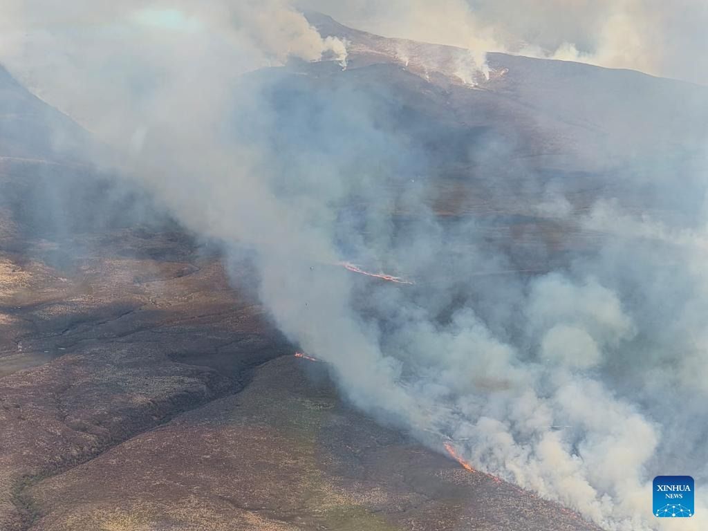 Rain helps tame wildfire in New Zealand's oldest national park | The Star