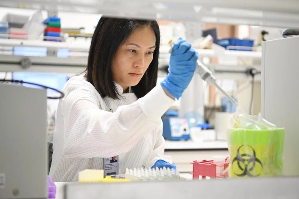 Singapore launches SG500K; phase 3 of mega gene-mapping effort to enrol ...