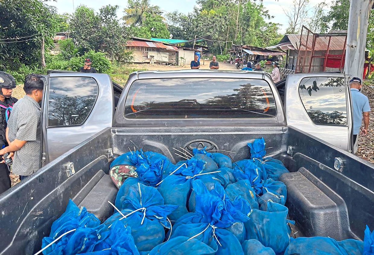 Meth and monkey business interrupted | The Star