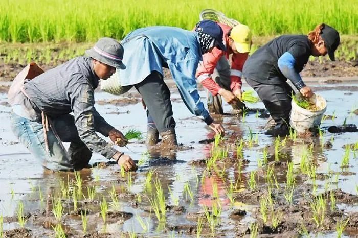 Australia–Brunei business forum highlights strengthening agrifood ...