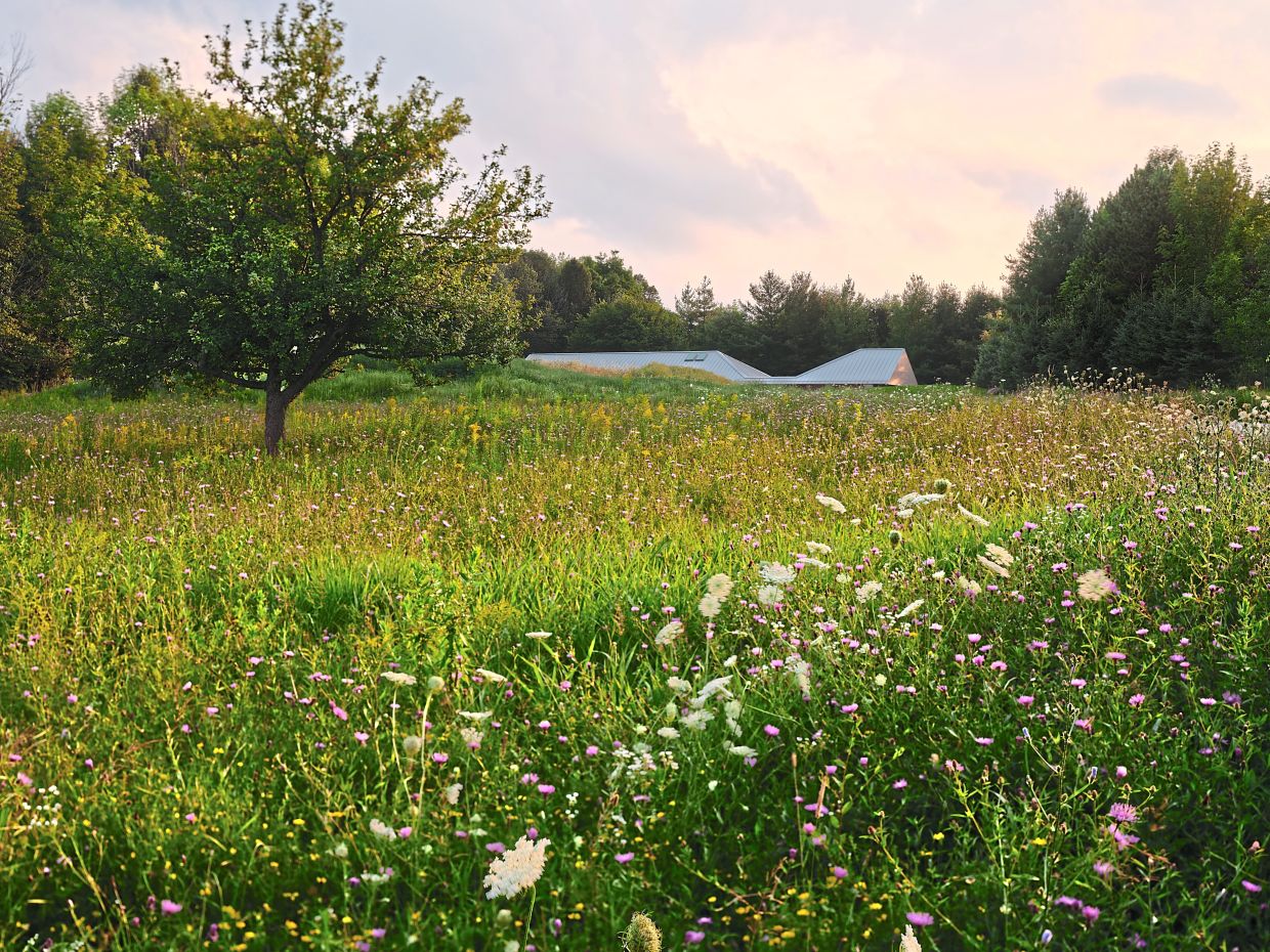 World's best building, landscape and future project awarded at 2025 ...