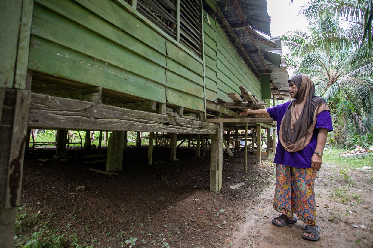 Elderly Woman Battles to Repair Flood-Damaged Home - Archynewsy