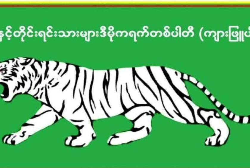White Tiger Party wins eight seats in five Shan State townships in ...