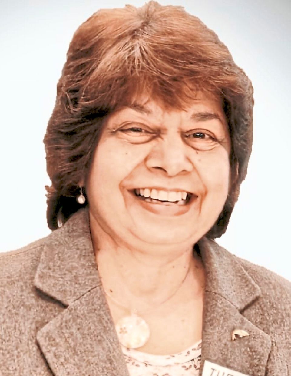 ‘Give more access to view Subang Jaya draft plan’ | The Star