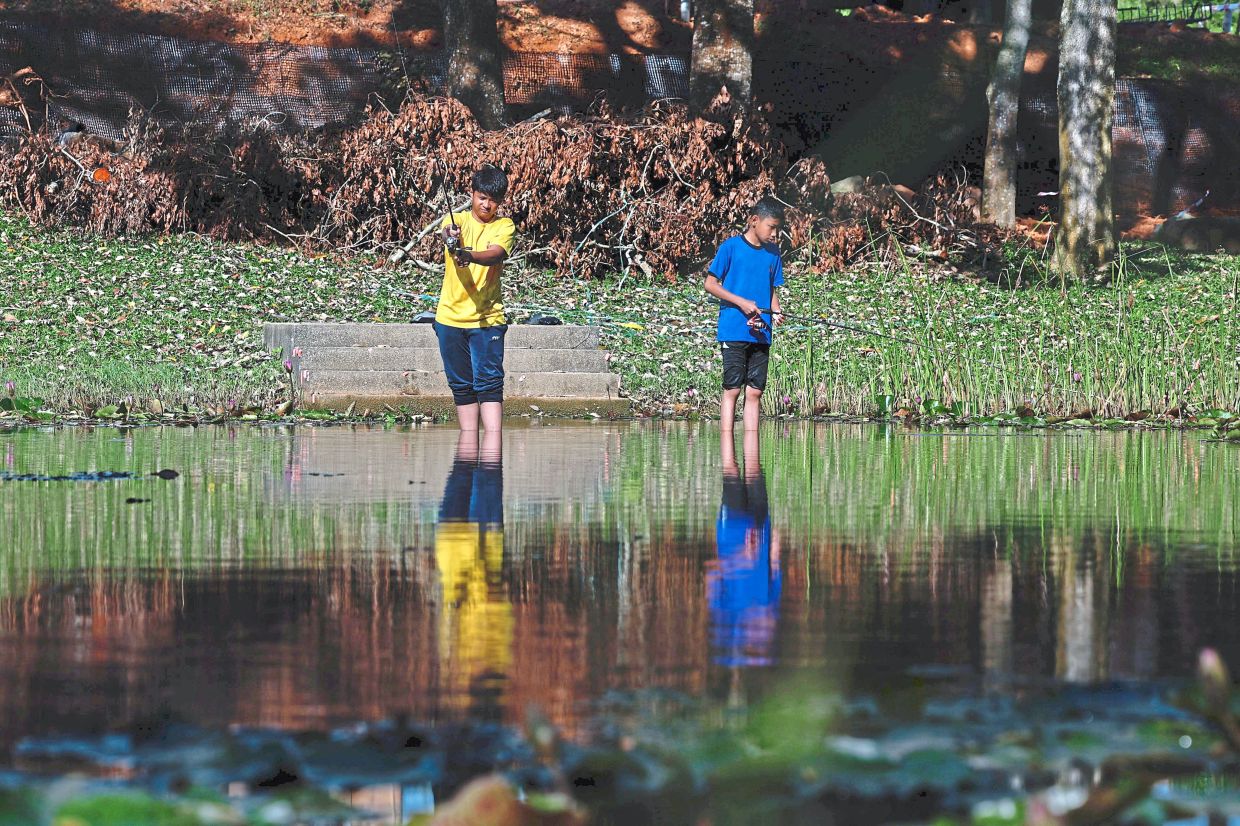 Hotspots abuzz with holiday fun | The Star