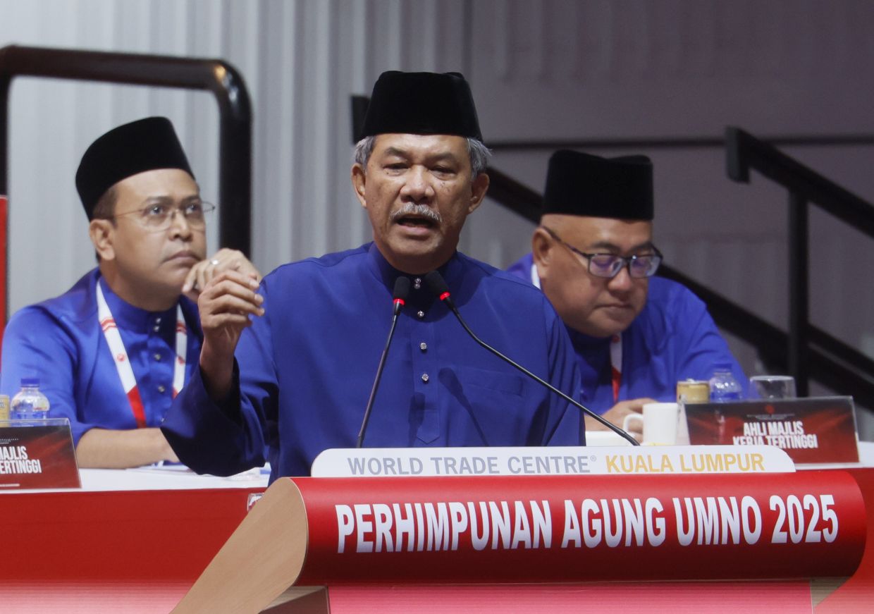 Tok Mat: Public policy without Umno’s voice a no-go - Worldnews.com
