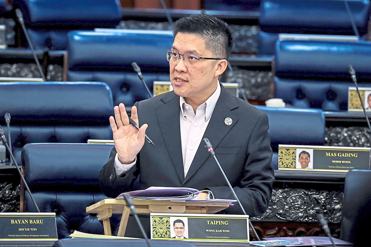Lessons get civics boost | The Star