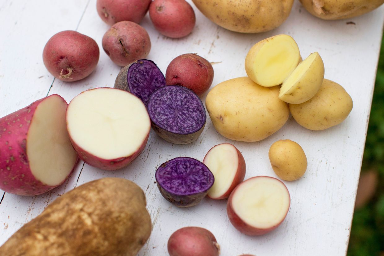 If you're struggling to lose weight, could chilling your carbs help ...