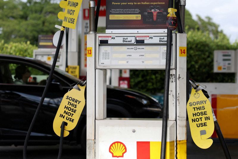 Stick to Easter travel, Australians told, though hundreds of petrol ...