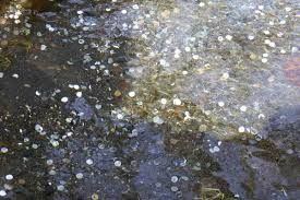 Mount Fuji heritage site struggles with water quality concern over ...