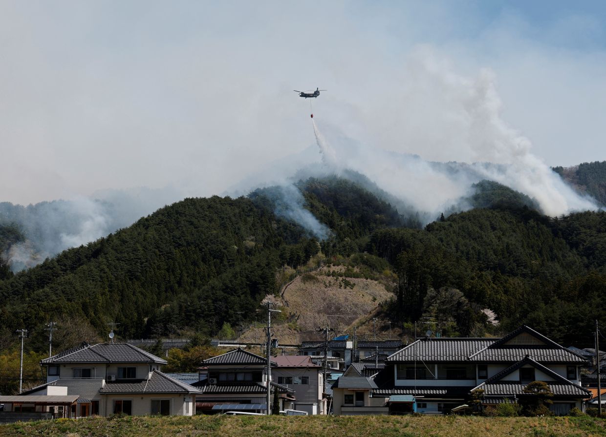 Wildfire in north-east Japan under control, burns 1,633 hectares in 11 ...