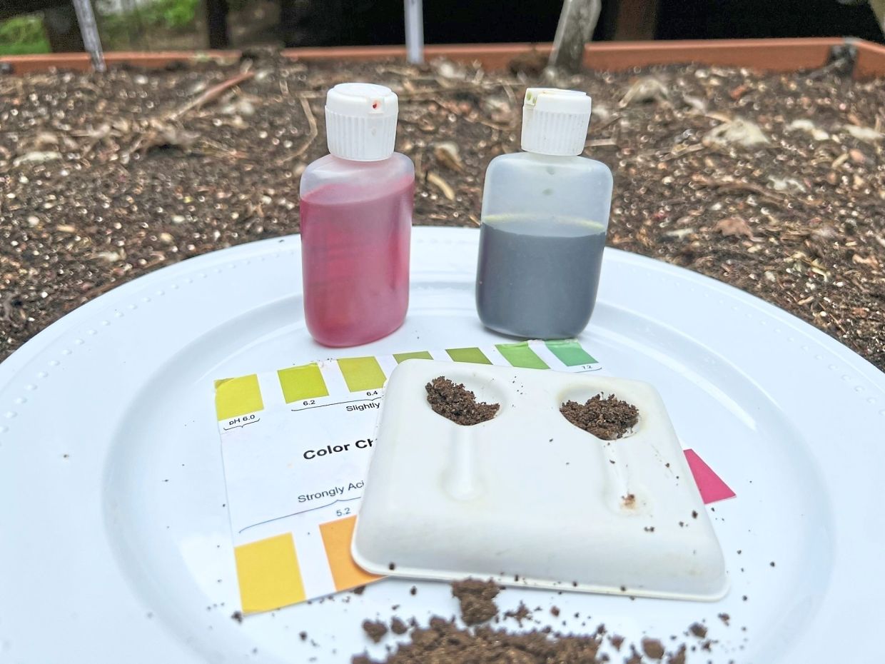 Soil is the foundation of your garden. Here's how you keep it healthy ...