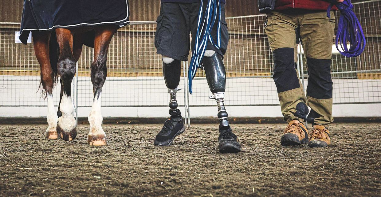 Horses turn out to be unlikely saviours for those who serve in uniform ...