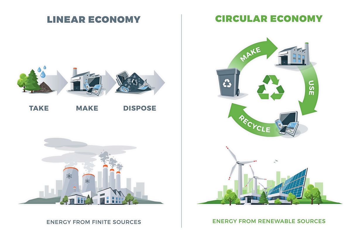 Strong leadership needed to secure circular economy | The Star