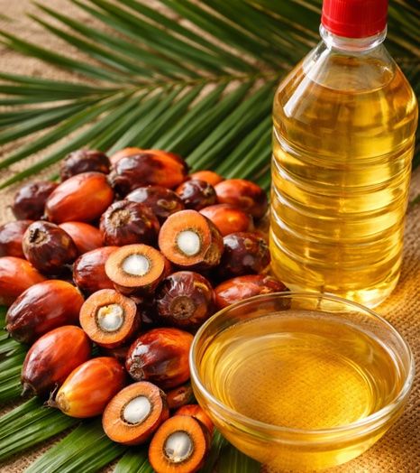 Palm oil outlook firm on supply tightening | The Star