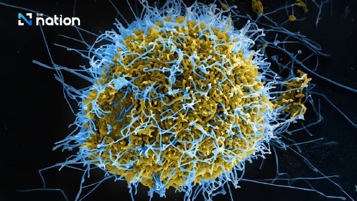 Ebola watch: Thailand stays on high guard against imported cases | The Star