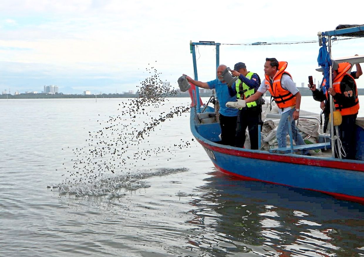 Fin-tastic fish restocking efforts | The Star