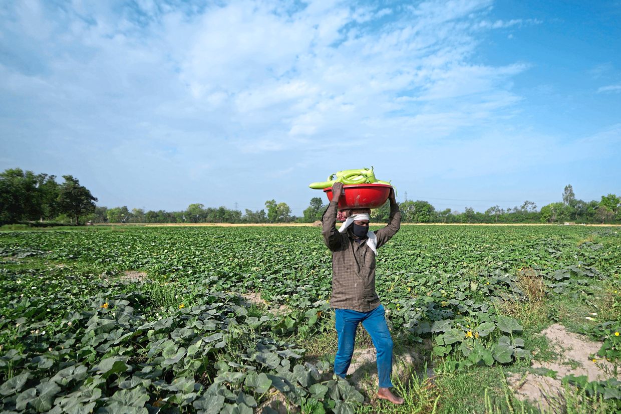 Global food prices are at their highest level in more than three years ...