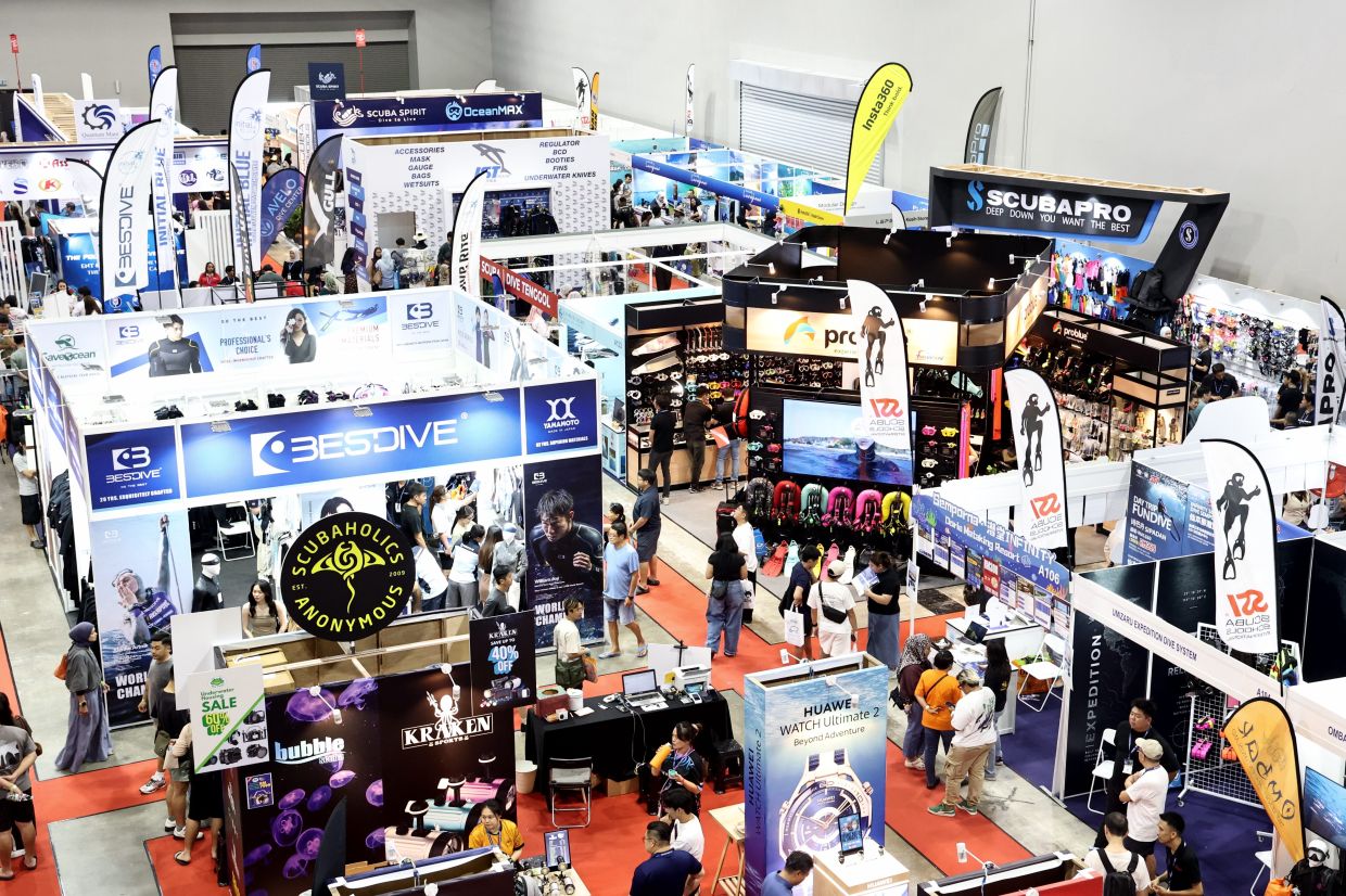 Malaysia must safeguard reefs to sustain diving industry, says Tiong ...