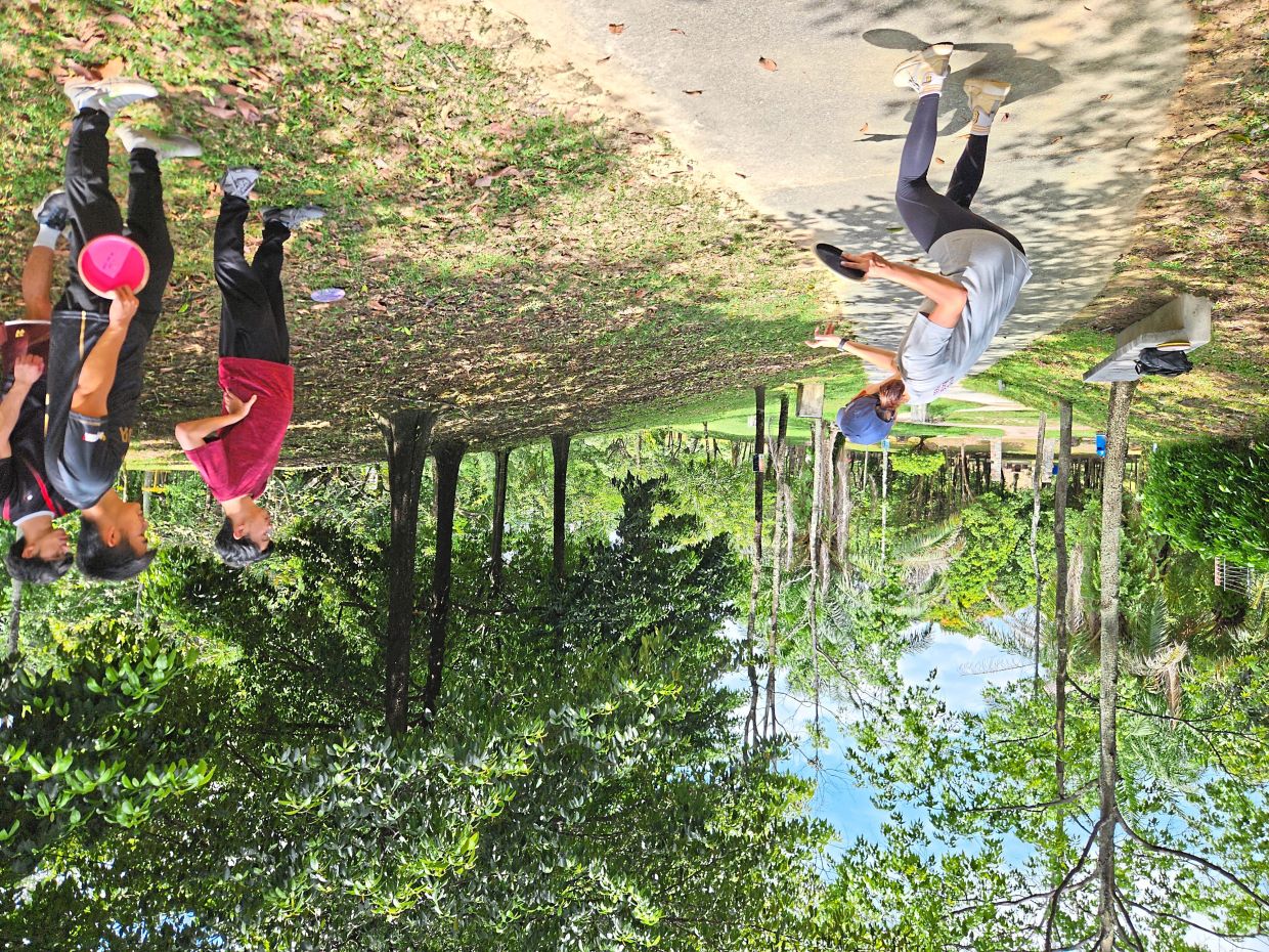 Disc golf finds its footing in Malaysia | The Star